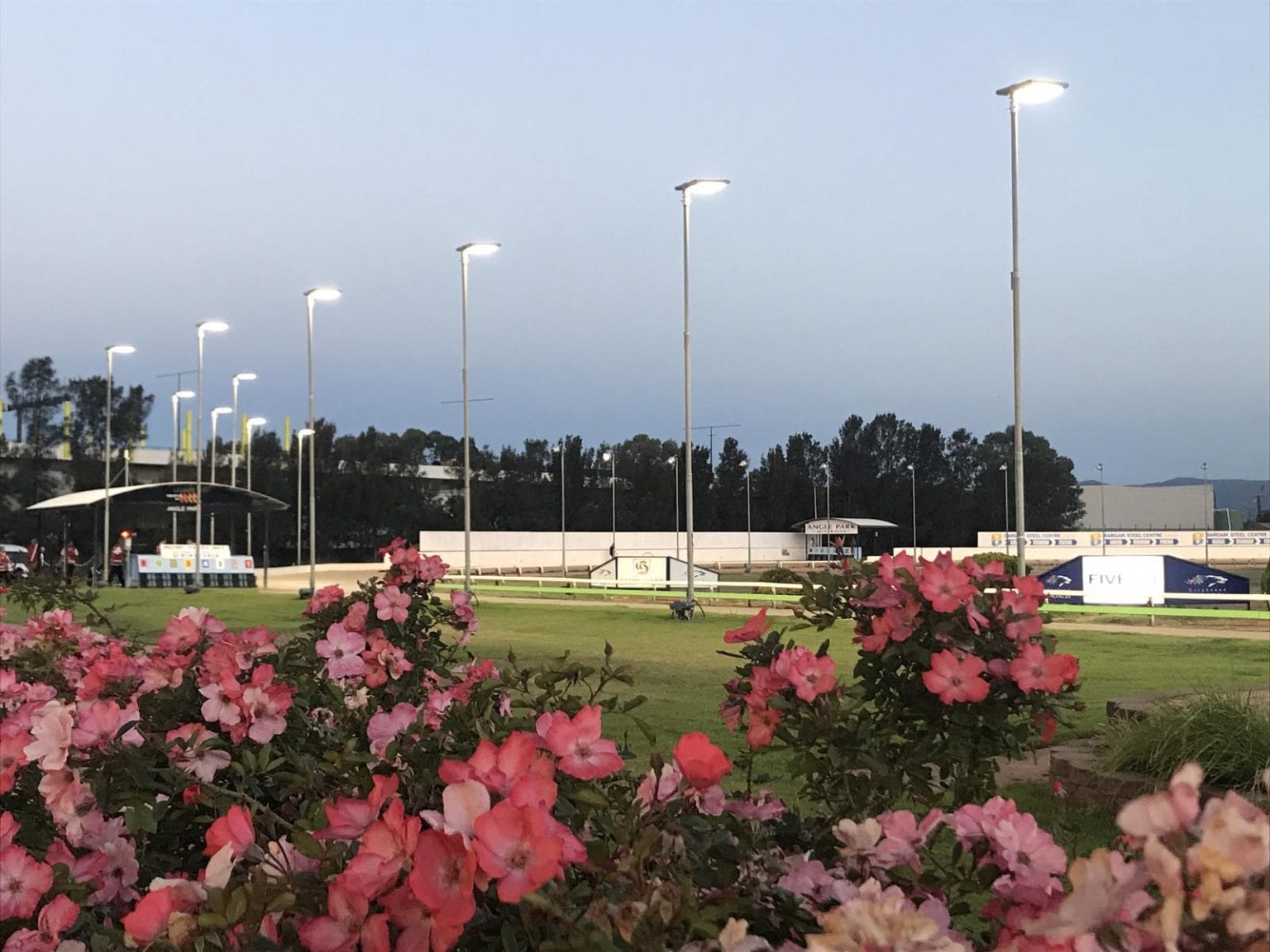 Lighting Installations | Tigerlight